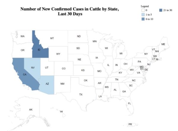 USDA Confirms New H5N1 Cases in Cattle and Poultry – Prepping Communities