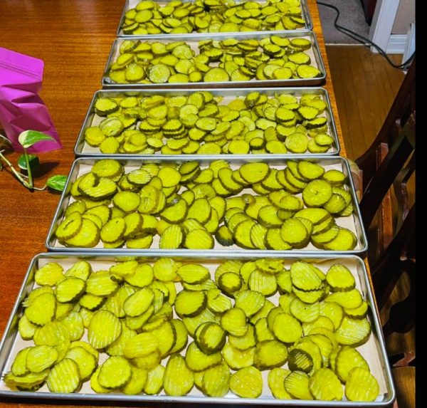 *Prepper Watchman Report!* Freeze Dried Pickles – Prepping Communities