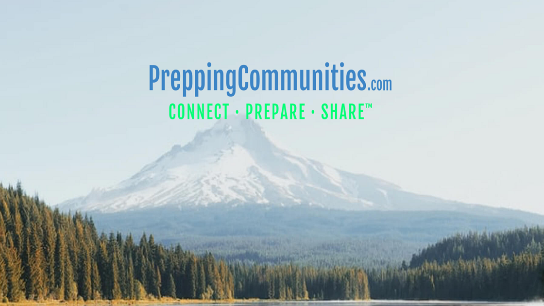 Tom Homan Takes Over Minnesota Operation as Trump SHUFFLES Immigration ...